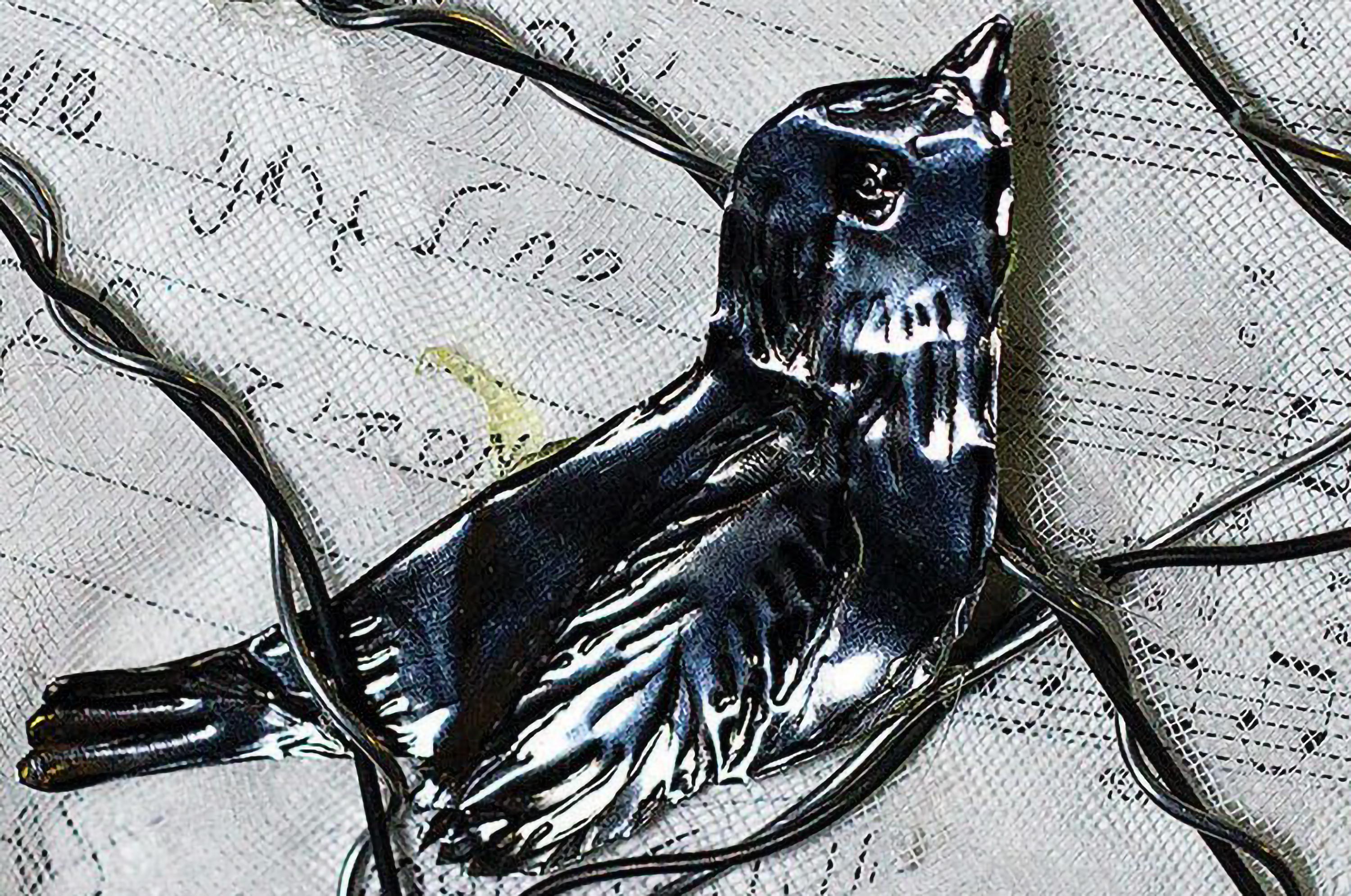 Pentimento, 18 Years of Teaching About the Importance of Family Stories ...